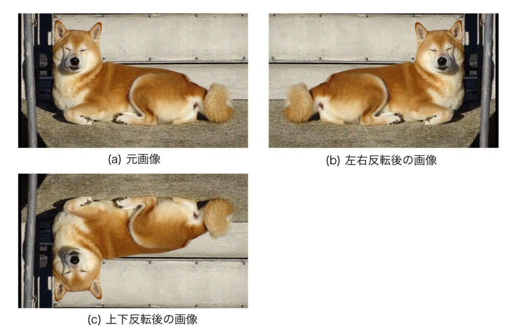 画像のフリップ (Image Flipping)：左右反転 と 上下反転 [画像変換] | CVMLエキスパートガイド
